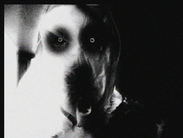 DobryStan.pl Zdrowie Jest Przyjemnością. - Moppaa: Horror